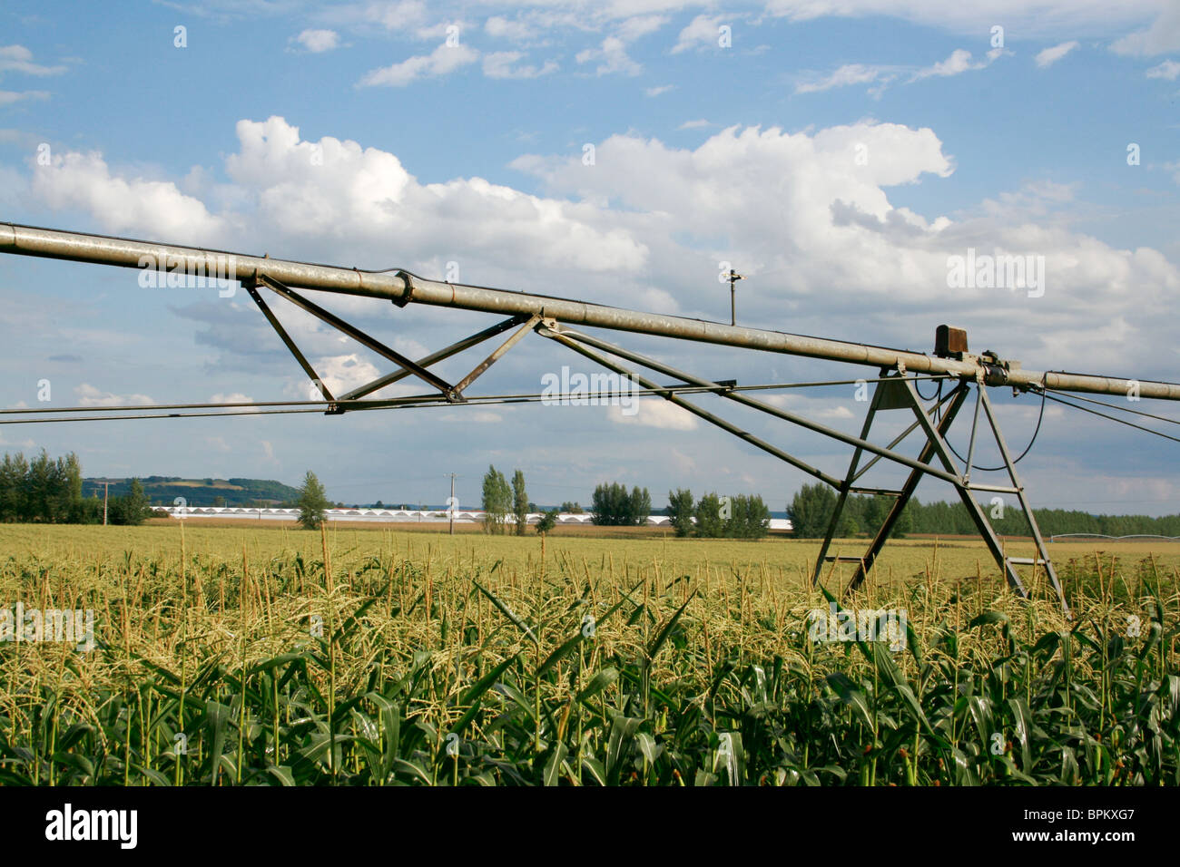 Maize irrigation hi-res stock photography and images - Alamy
