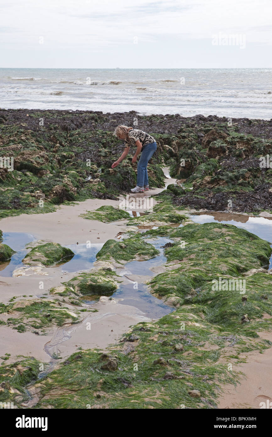 Woman rock pools on beach hi-res stock photography and images - Alamy