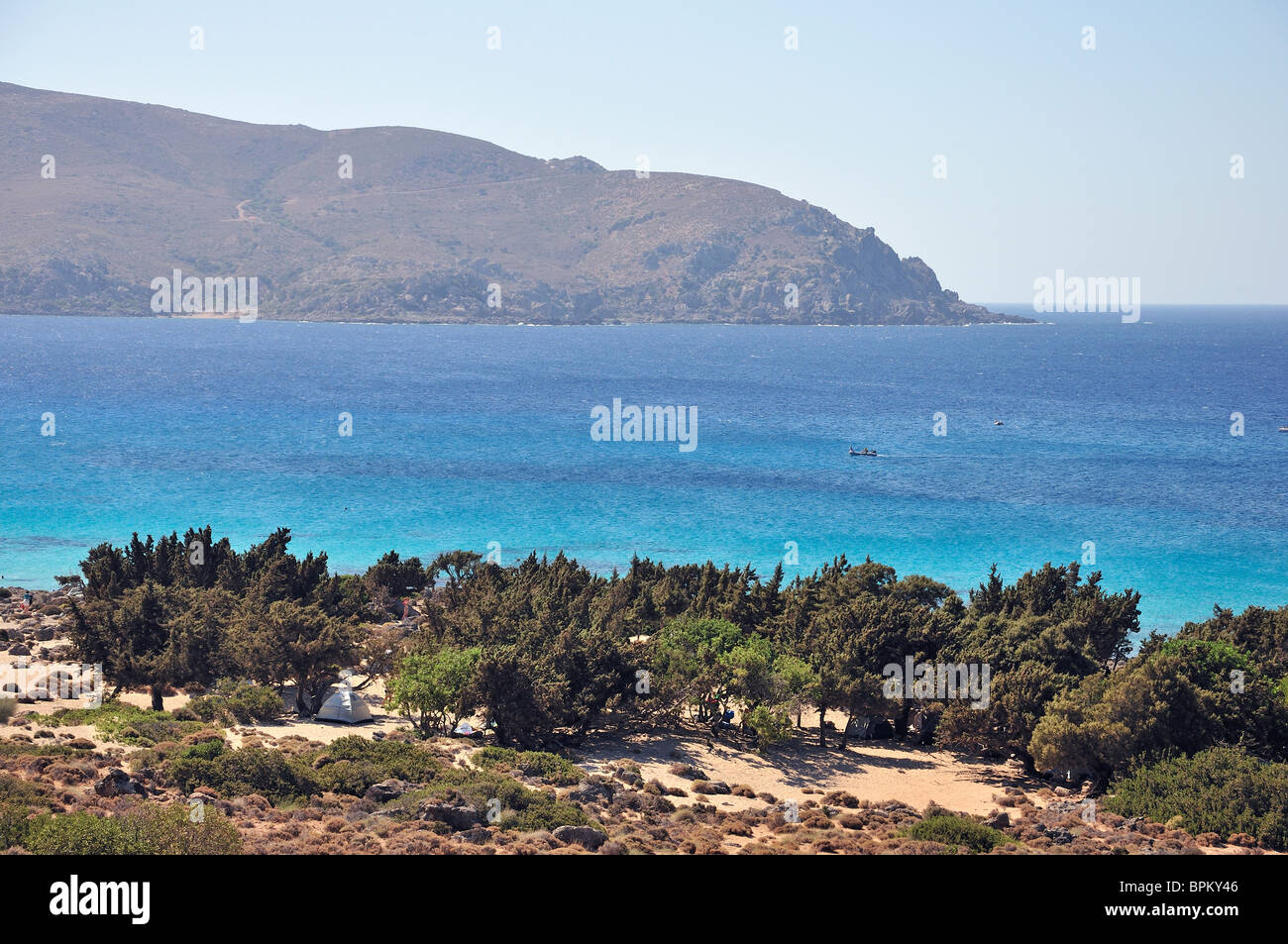 Cedar forest, Elafonisi, Chania prefecture, Crete island, Greece Stock ...