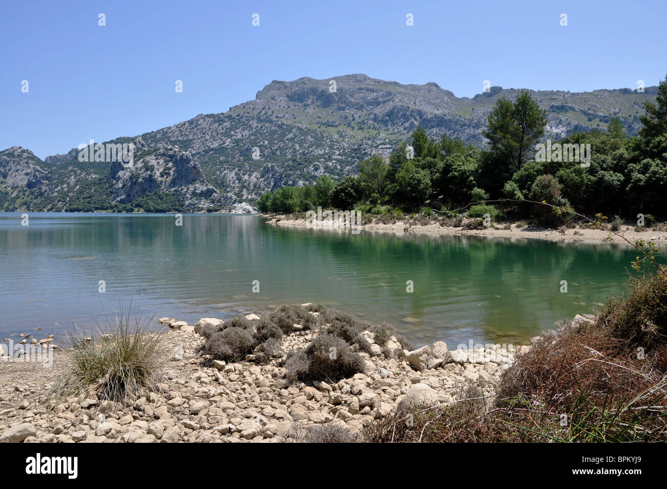 Gorg blau (Blue gorge) in Majorca (Baleraic). Lake with nice green ...