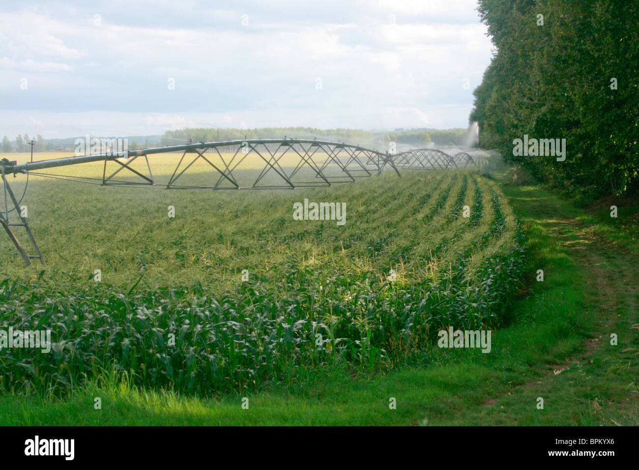 Large scale irrigation hi-res stock photography and images - Alamy