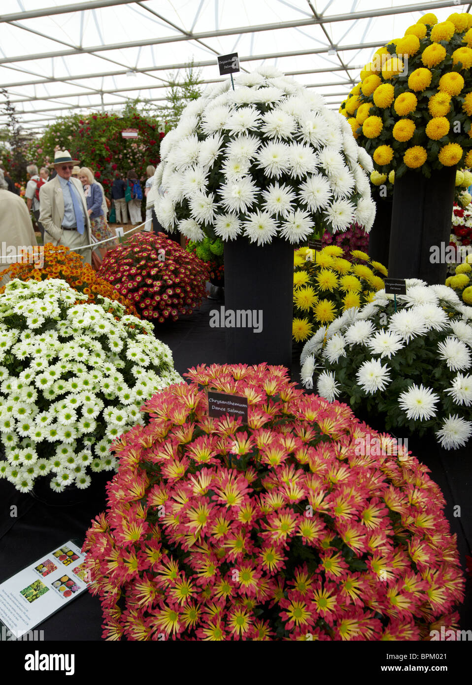Chelsea Flower Show London UK Stock Photo - Alamy
