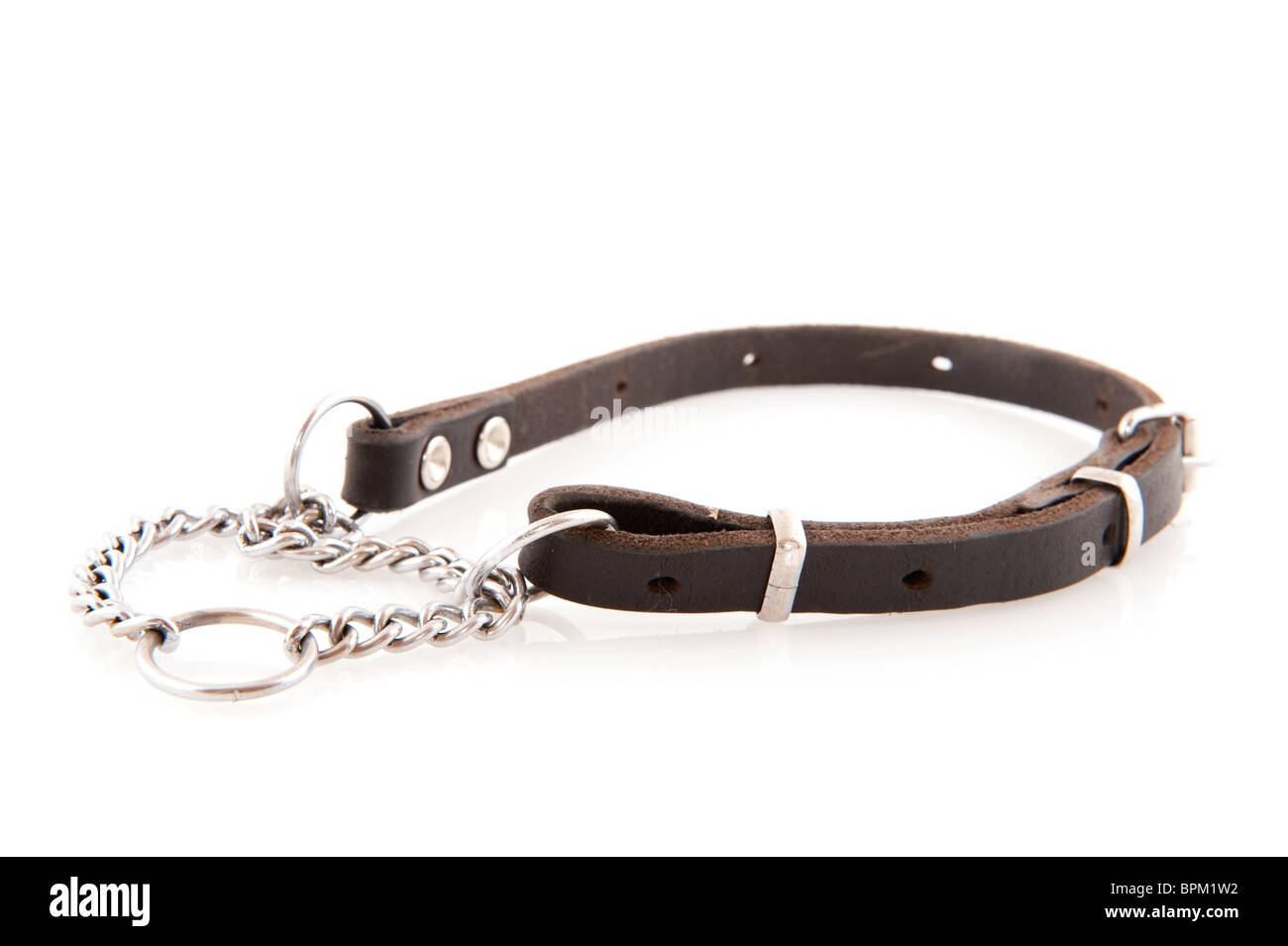 Black leather dog chain isolated over white Stock Photo - Alamy