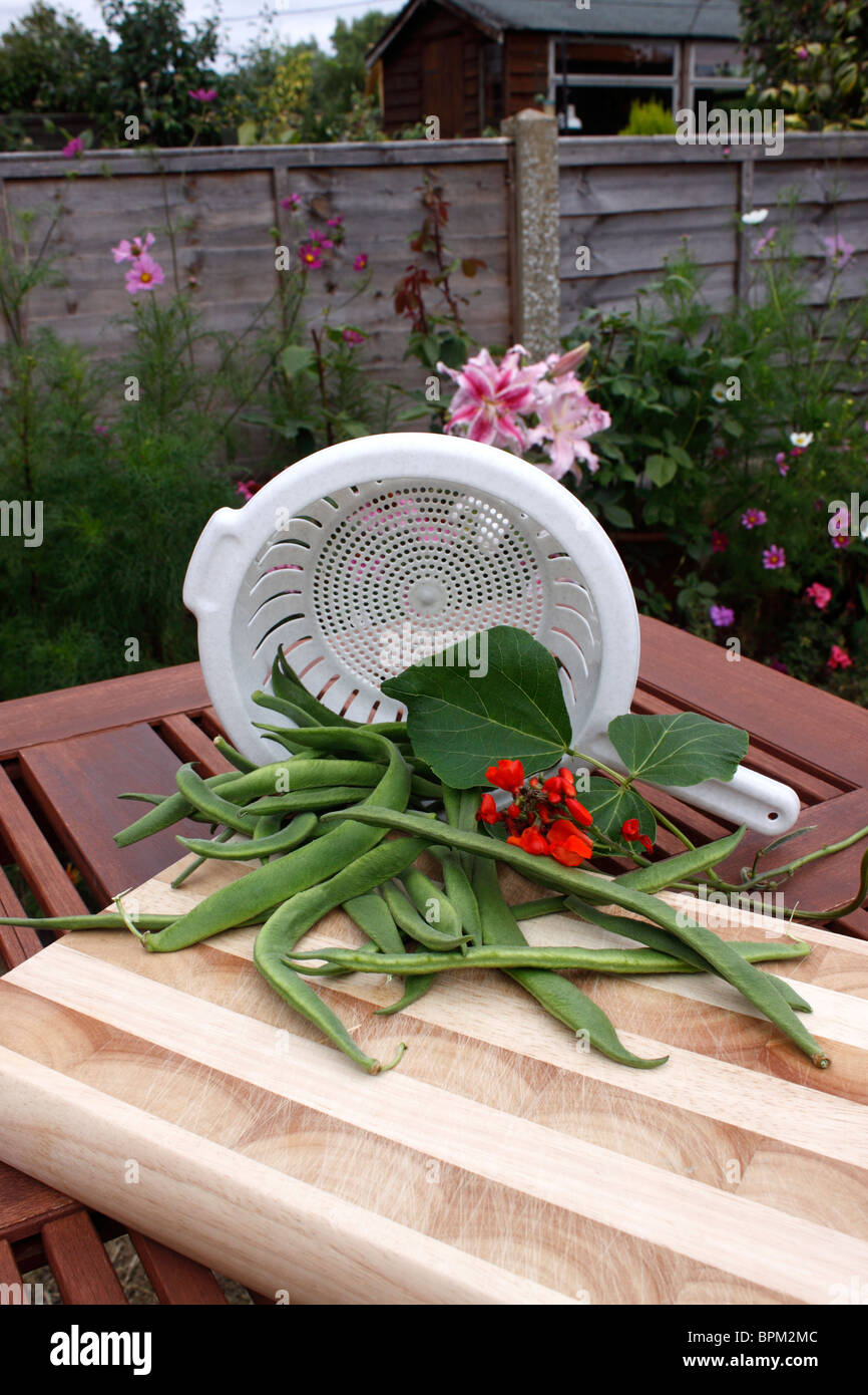 Stick beans still life hi-res stock photography and images - Alamy