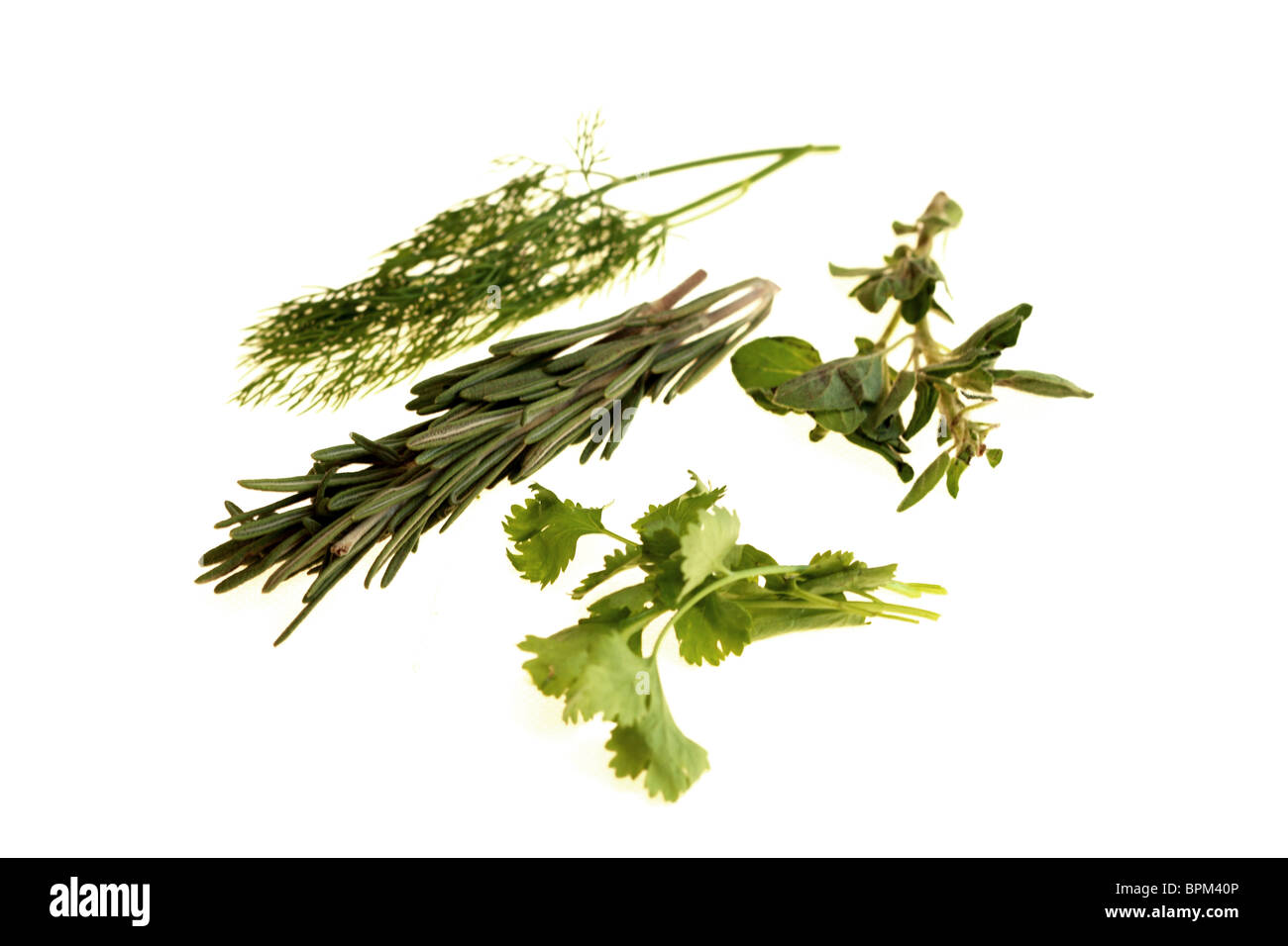 Mixed Fresh Herbs Stock Photo - Alamy