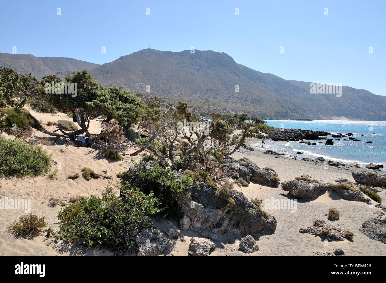 Cedar forest, Elafonisi, Chania prefecture, Crete island, Greece Stock ...