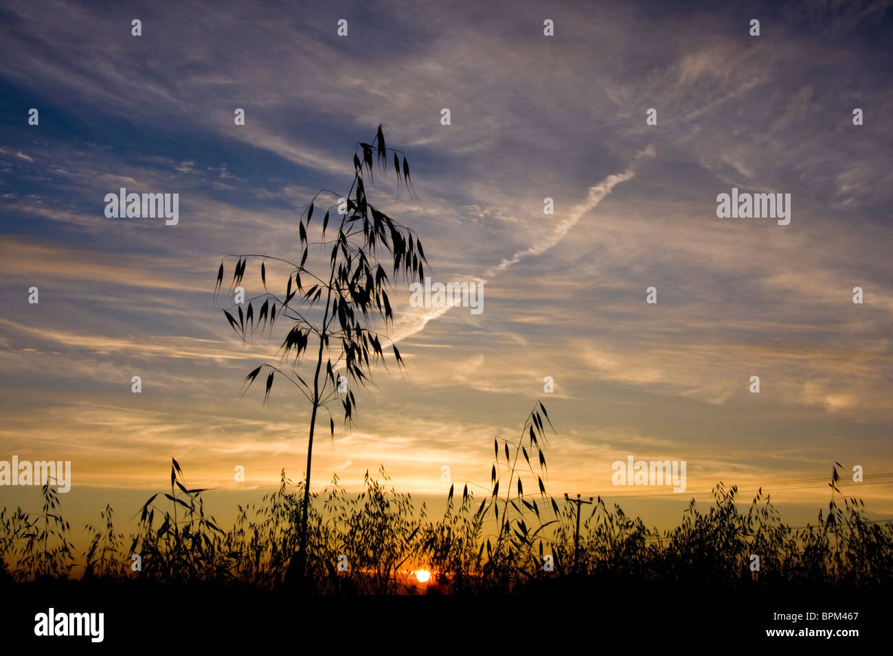 Chillenden hi-res stock photography and images - Alamy