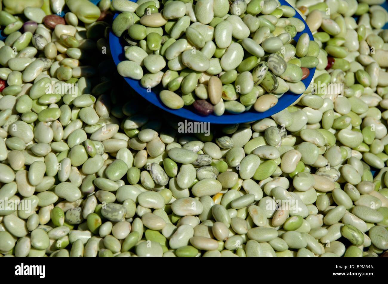 Lima bean south america hi-res stock photography and images - Alamy