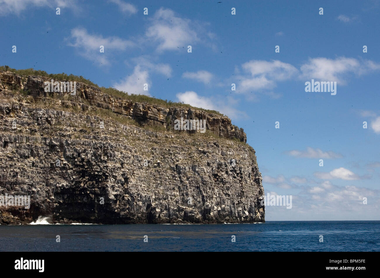 Darwin Island, Galapagos Islands, Ecuador Stock Photo - Alamy