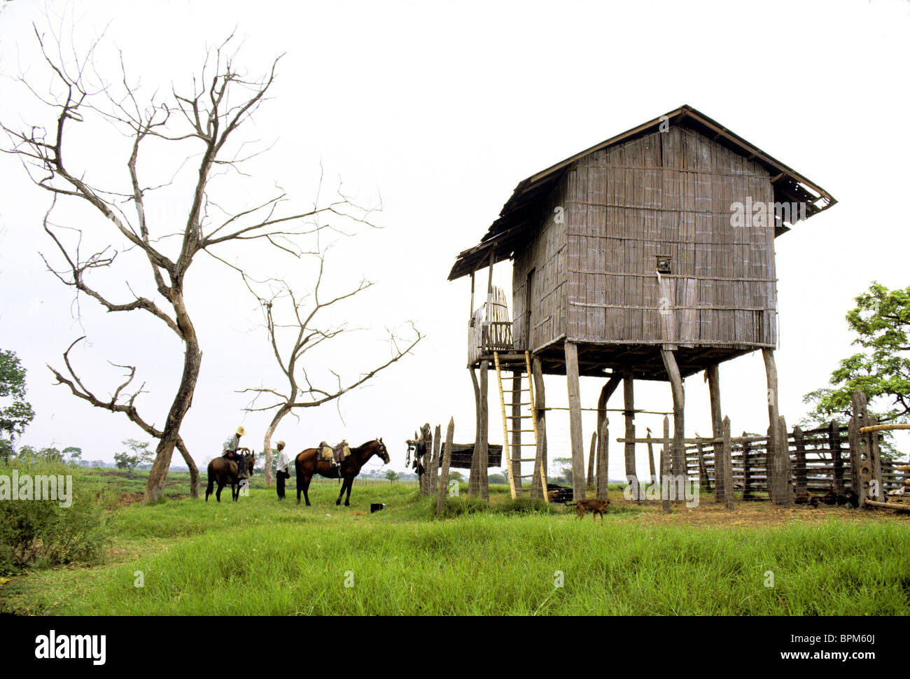 Victor englebert hi-res stock photography and images - Alamy