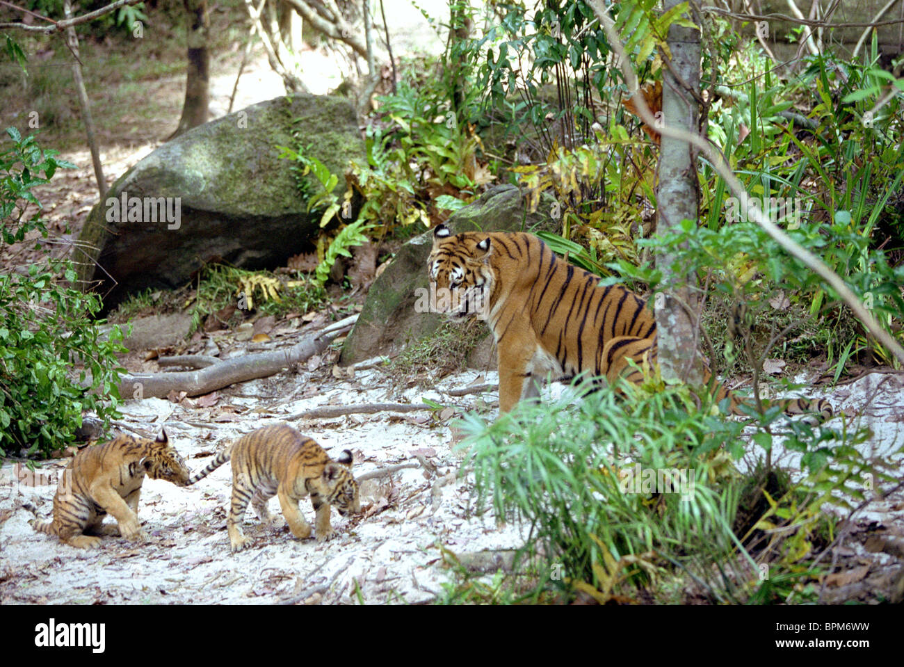 Film Two High Resolution Stock Photography and Images - Alamy