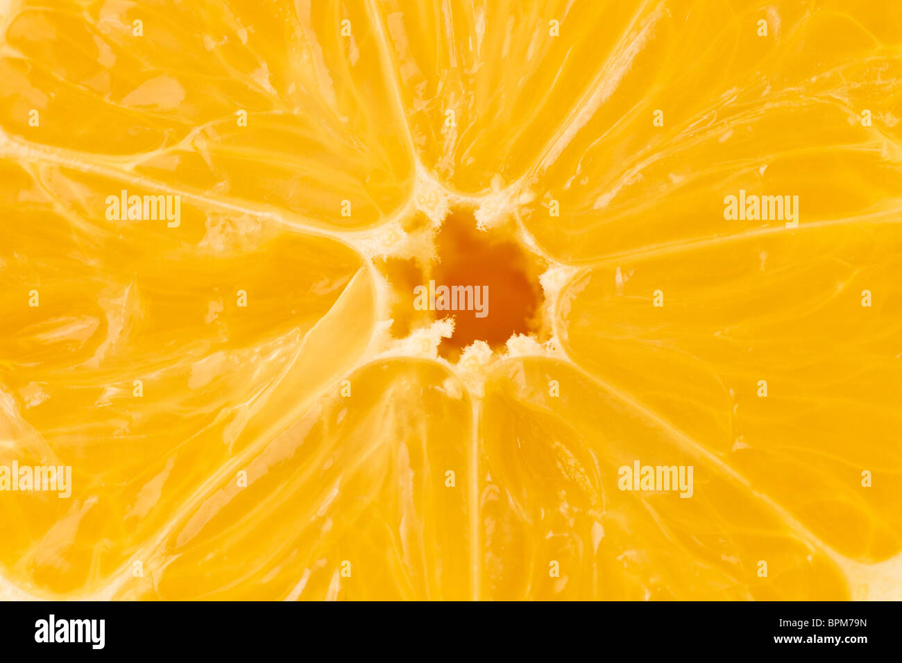 close up lemon slice Stock Photo - Alamy