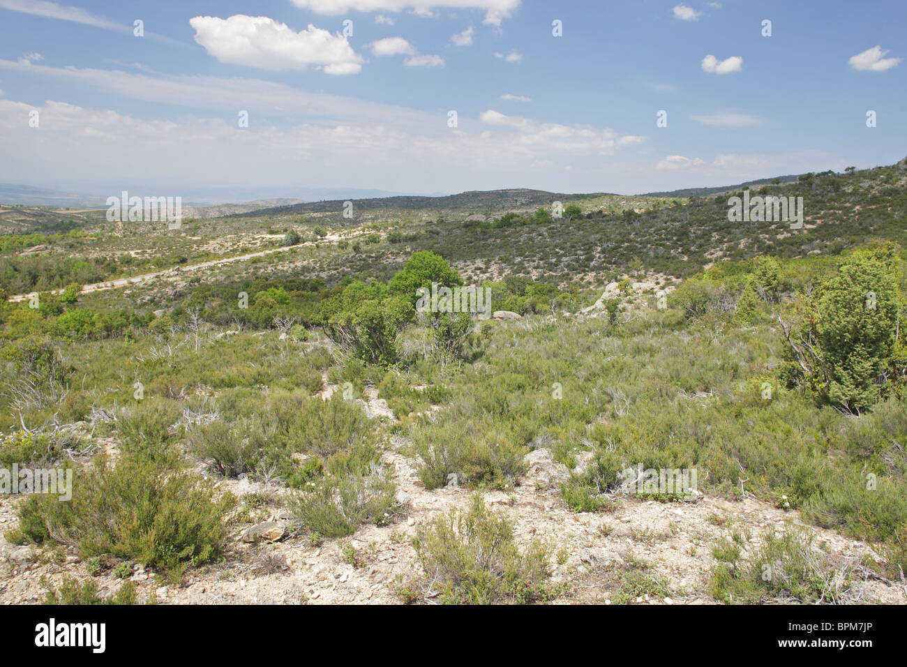 Open scenery hi-res stock photography and images - Alamy