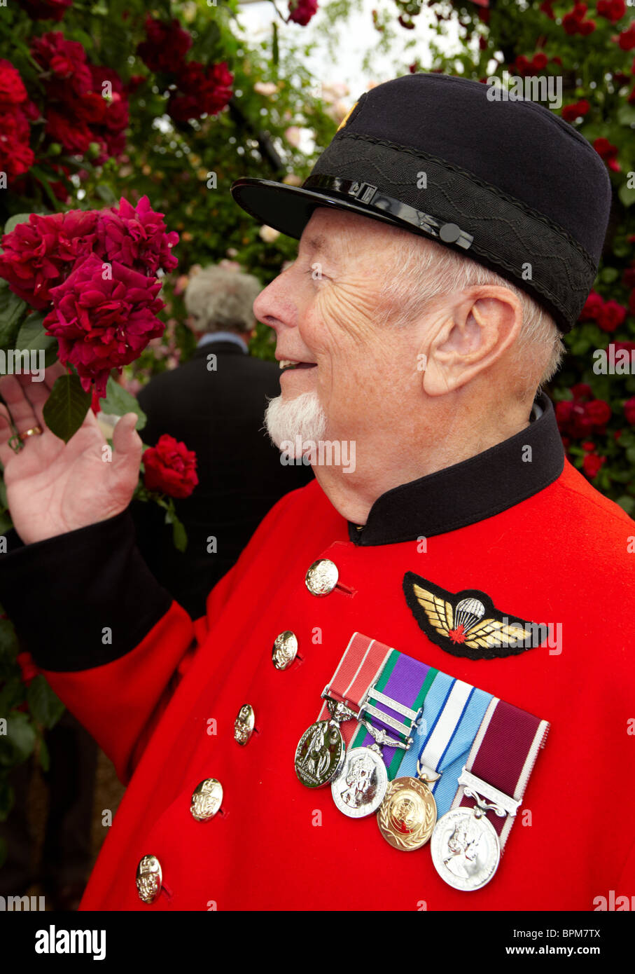 Old rose soldier hi-res stock photography and images - Alamy