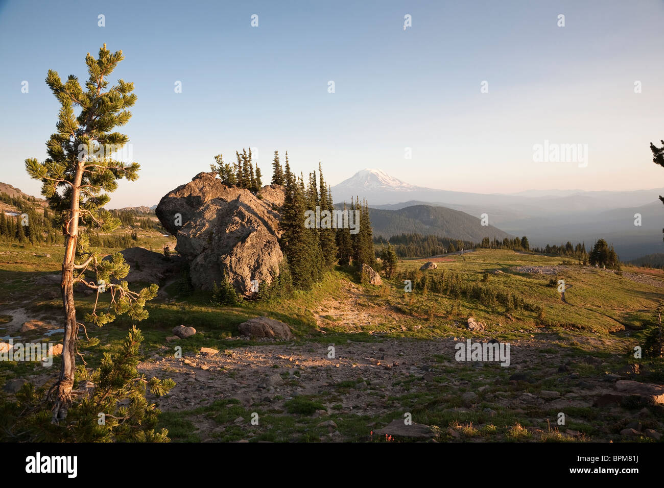 Meadow along the Pacific Crest Trail in the Goat Rocks Wilderness ...