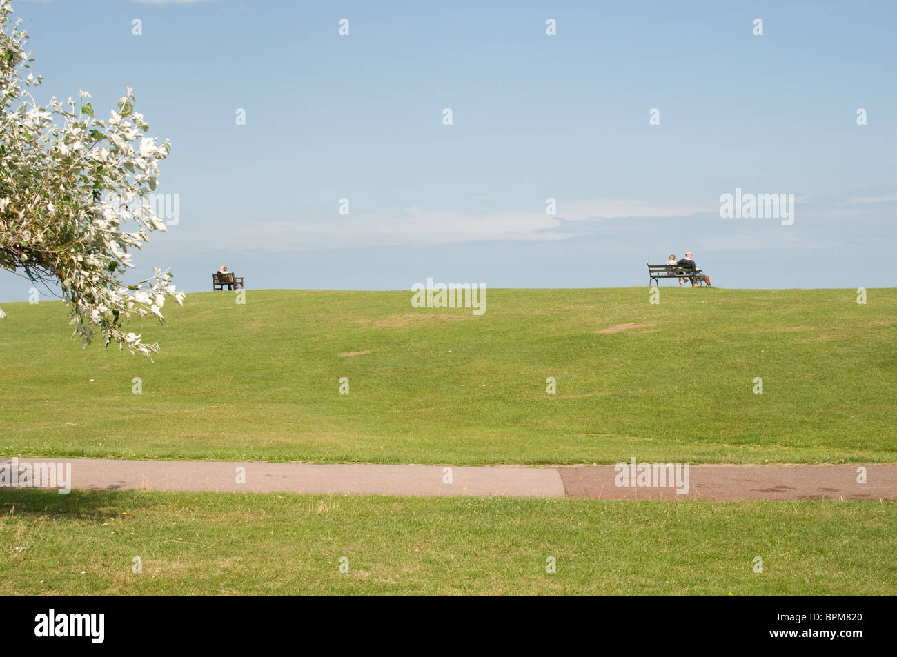 Benches on a grassy slope hi-res stock photography and images - Alamy
