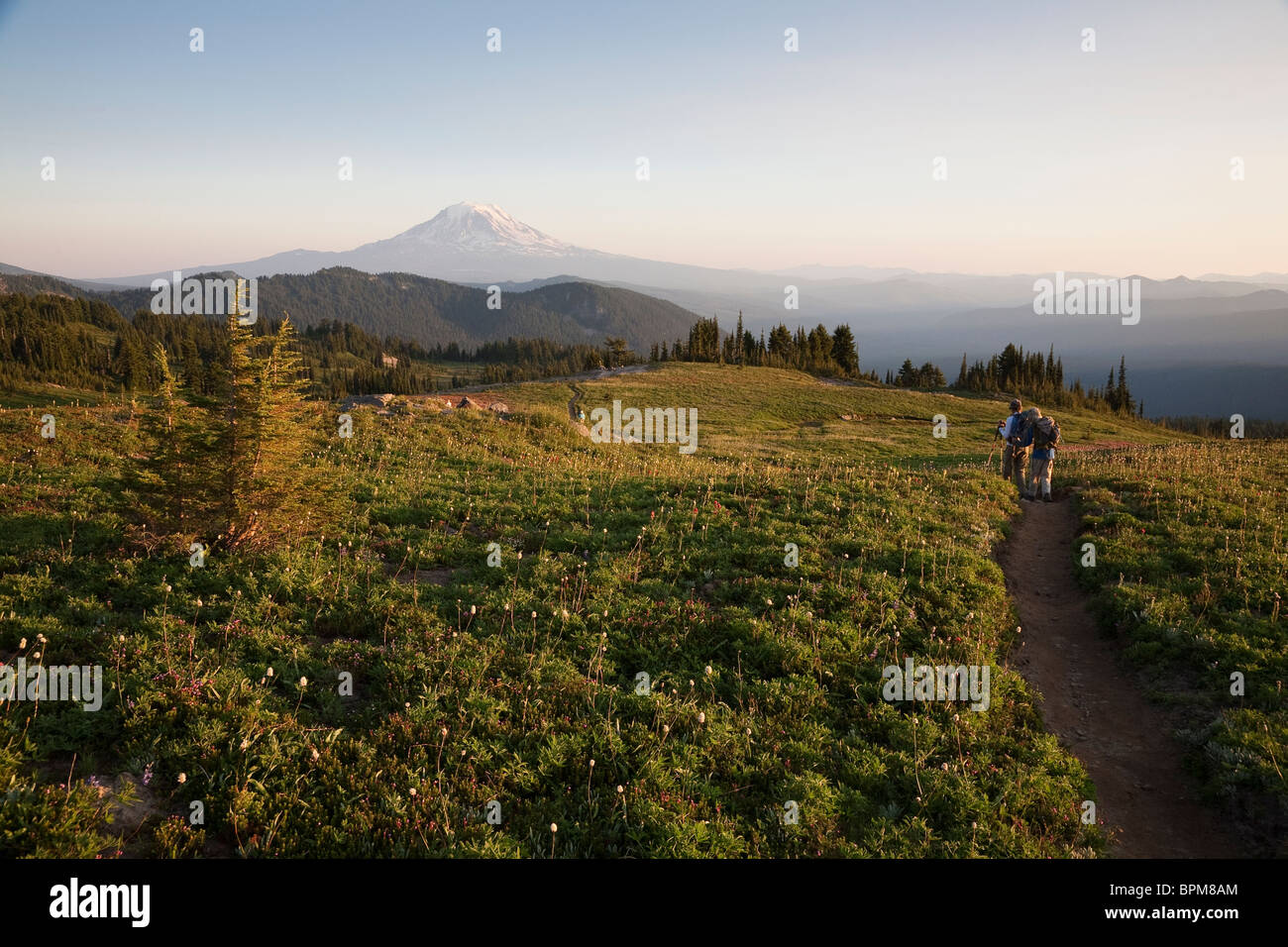 PCT hikers going south in the Goat Rocks Wilderness, Gifford Pinchot ...