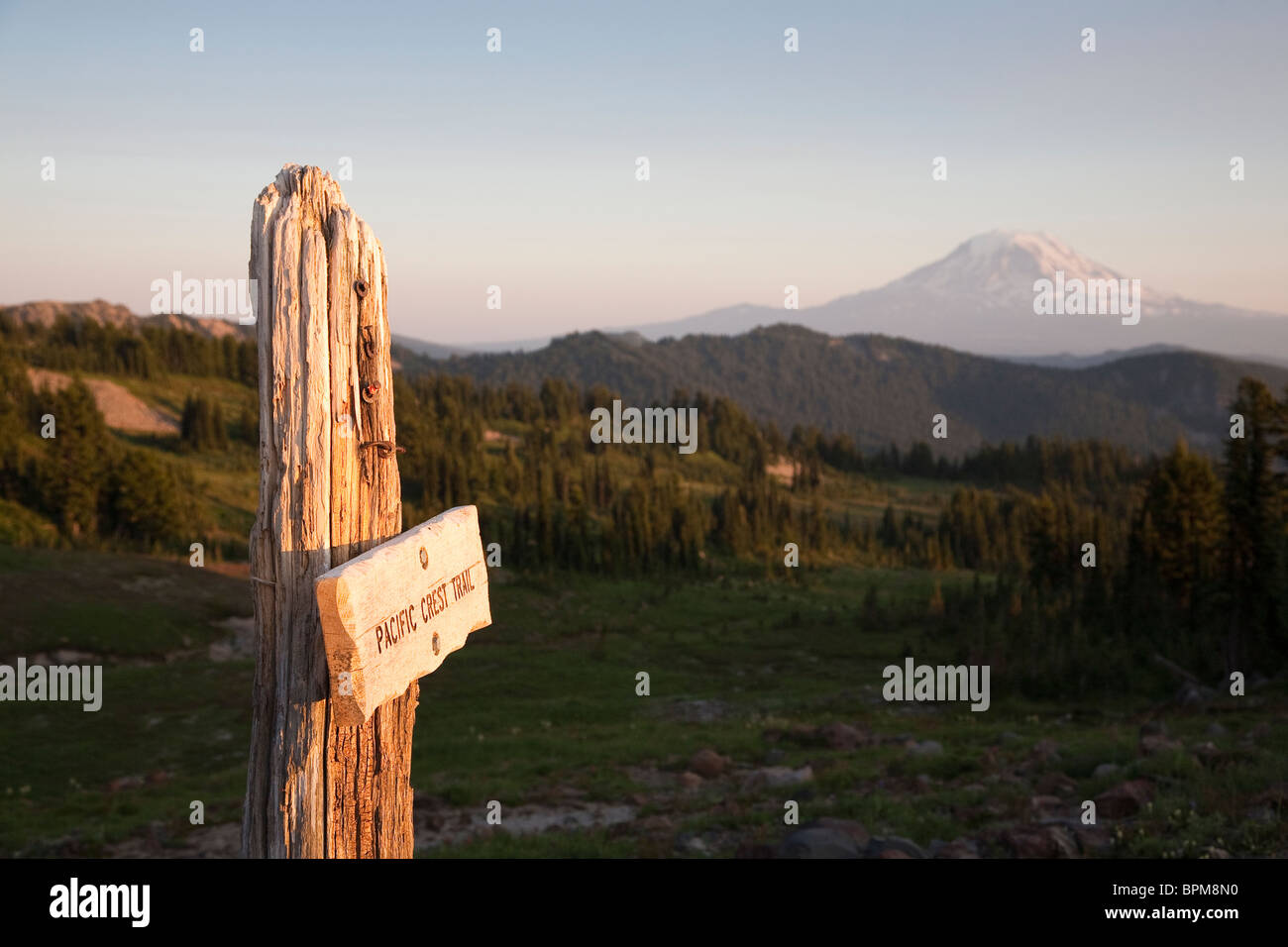 Pacific Crest Trail Signpost in the Goat Rocks Wilderness, Gifford ...