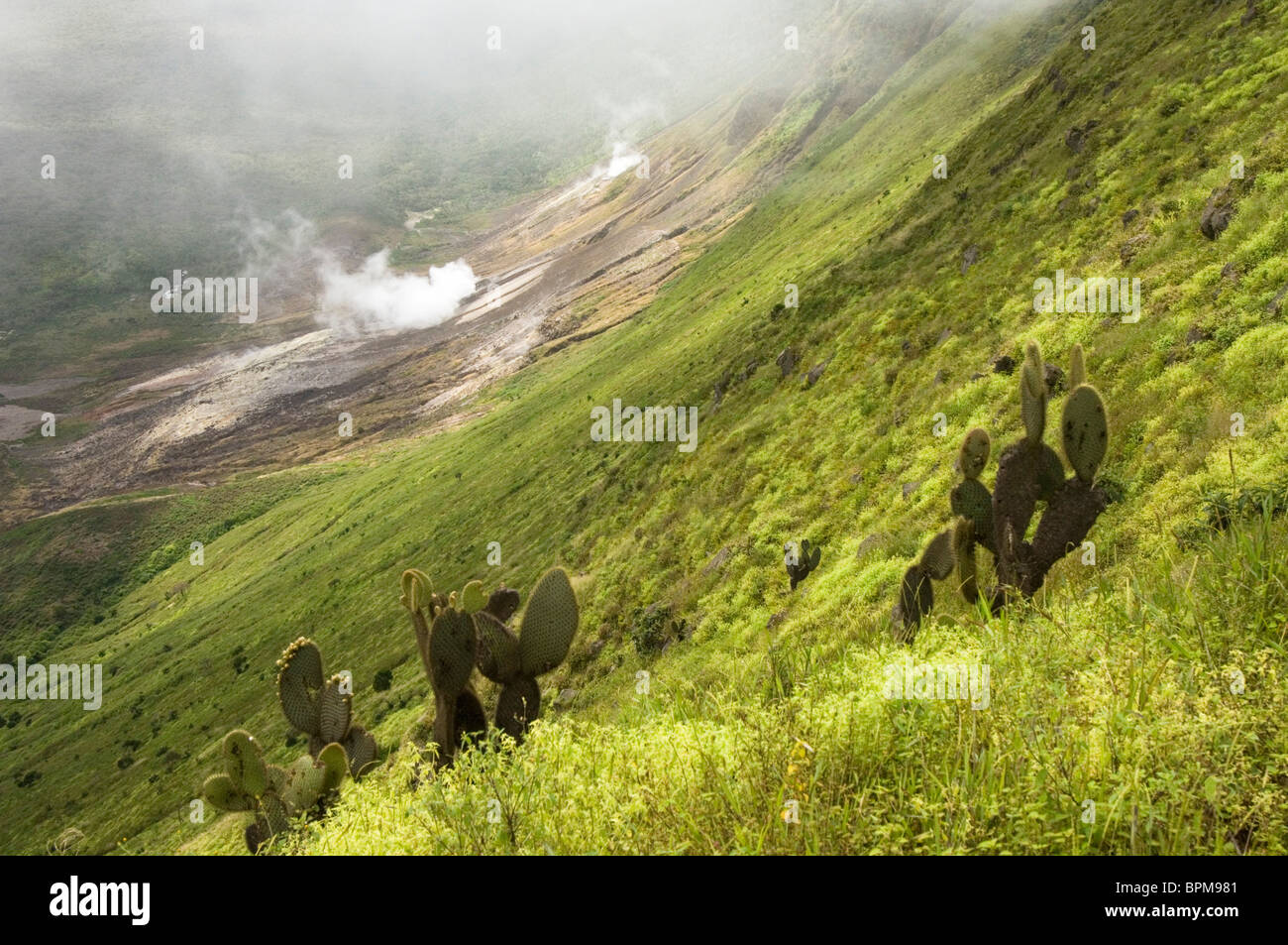 Alcedo Volcano Scenic, Isabela Island, Galapagos Islands, Ecuador. One ...