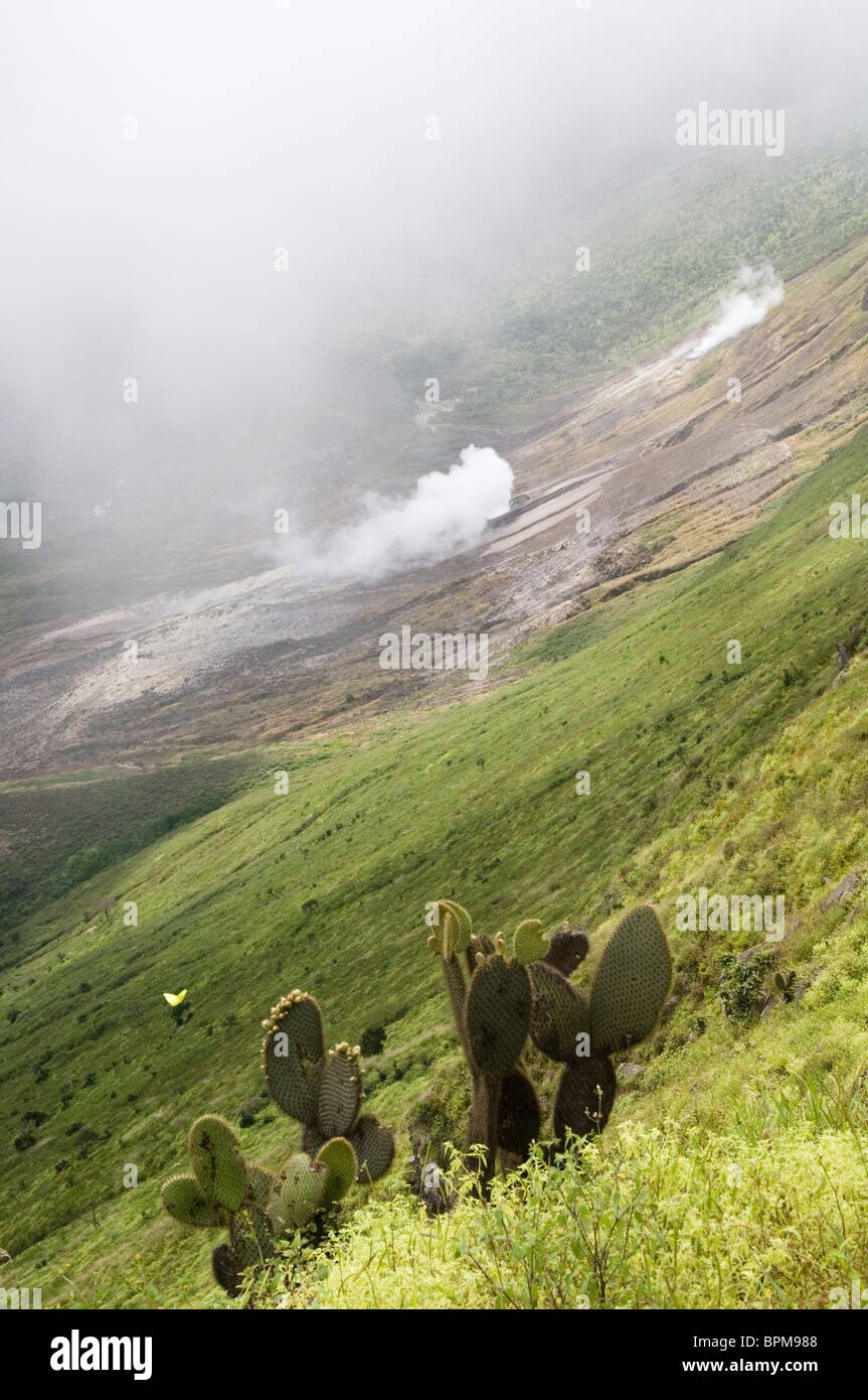 Alcedo Volcano Scenic, Isabela Island, Galapagos Islands, Ecuador. One ...
