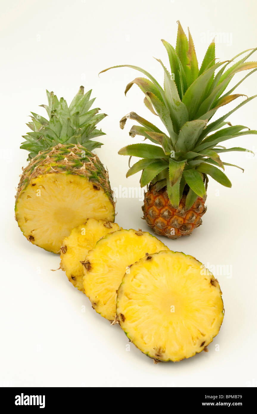 Pineapple (Ananas comosus). Normal seized fruit sliced and whole mini ...