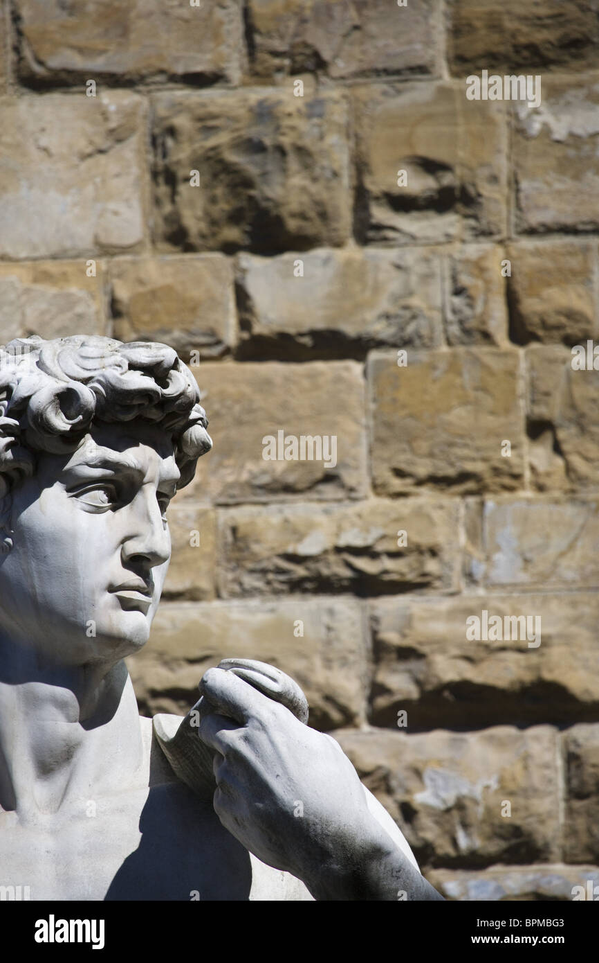 Head of the David Statue (by Michelangelo) on Piazza della Signoria ...