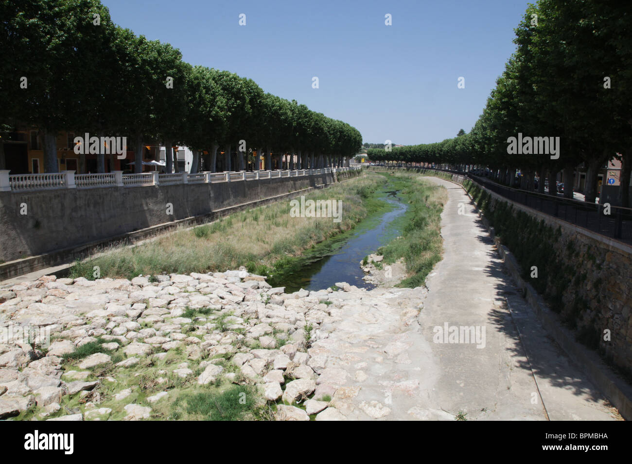 Daro tree hi-res stock photography and images - Alamy