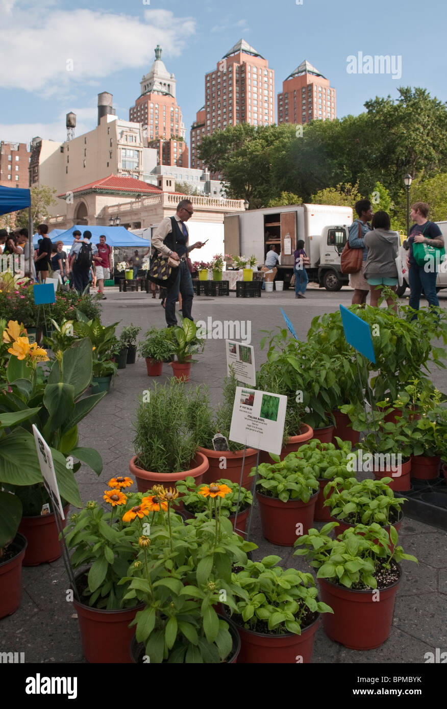 Farmers market union square hi-res stock photography and images - Alamy