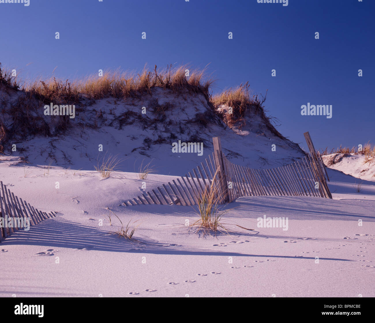 Sand Dunes and Drift Fence, NJ Stock Photo - Alamy