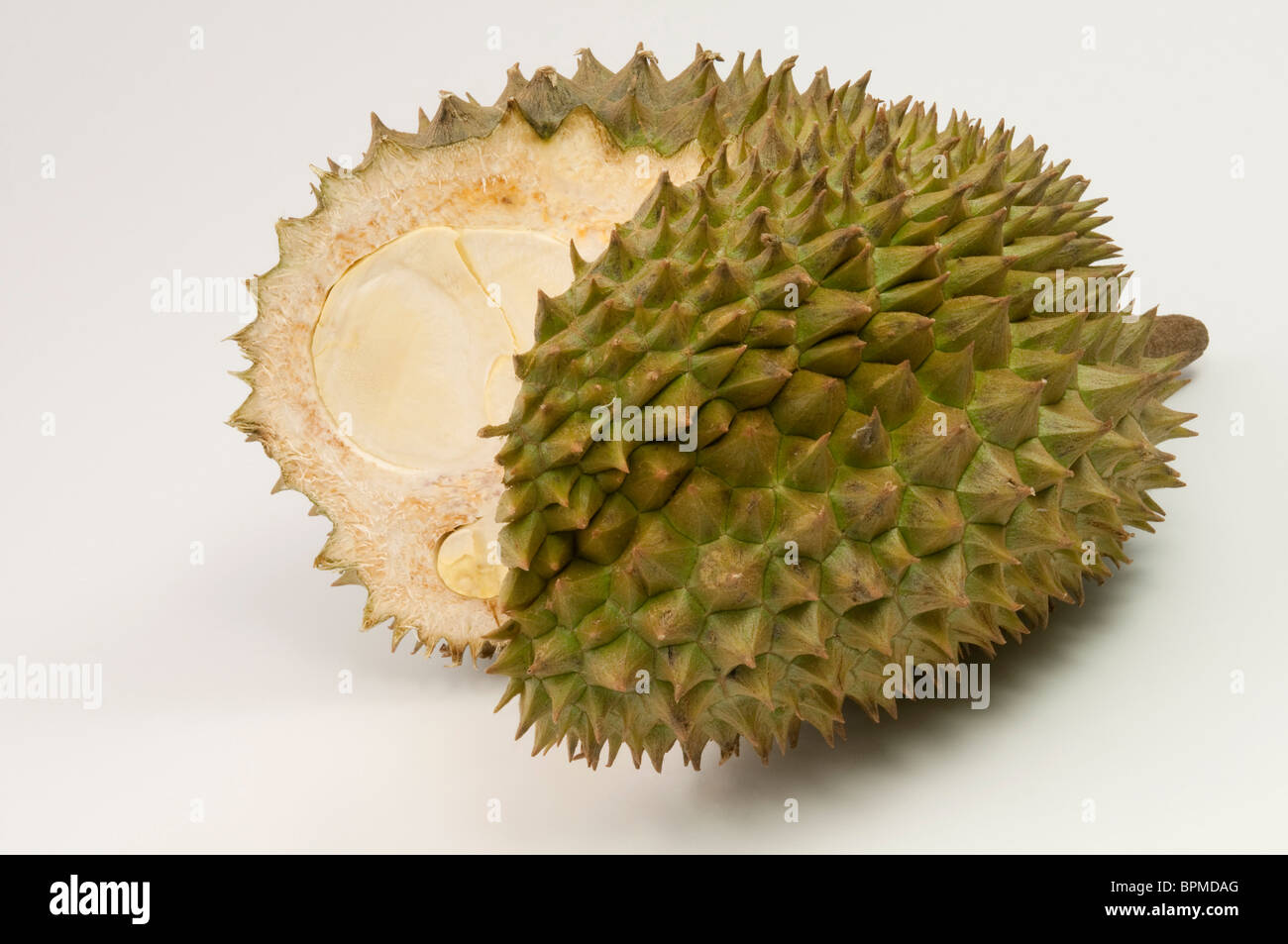 Fruit of the durian zibethinus hi-res stock photography and images - Alamy