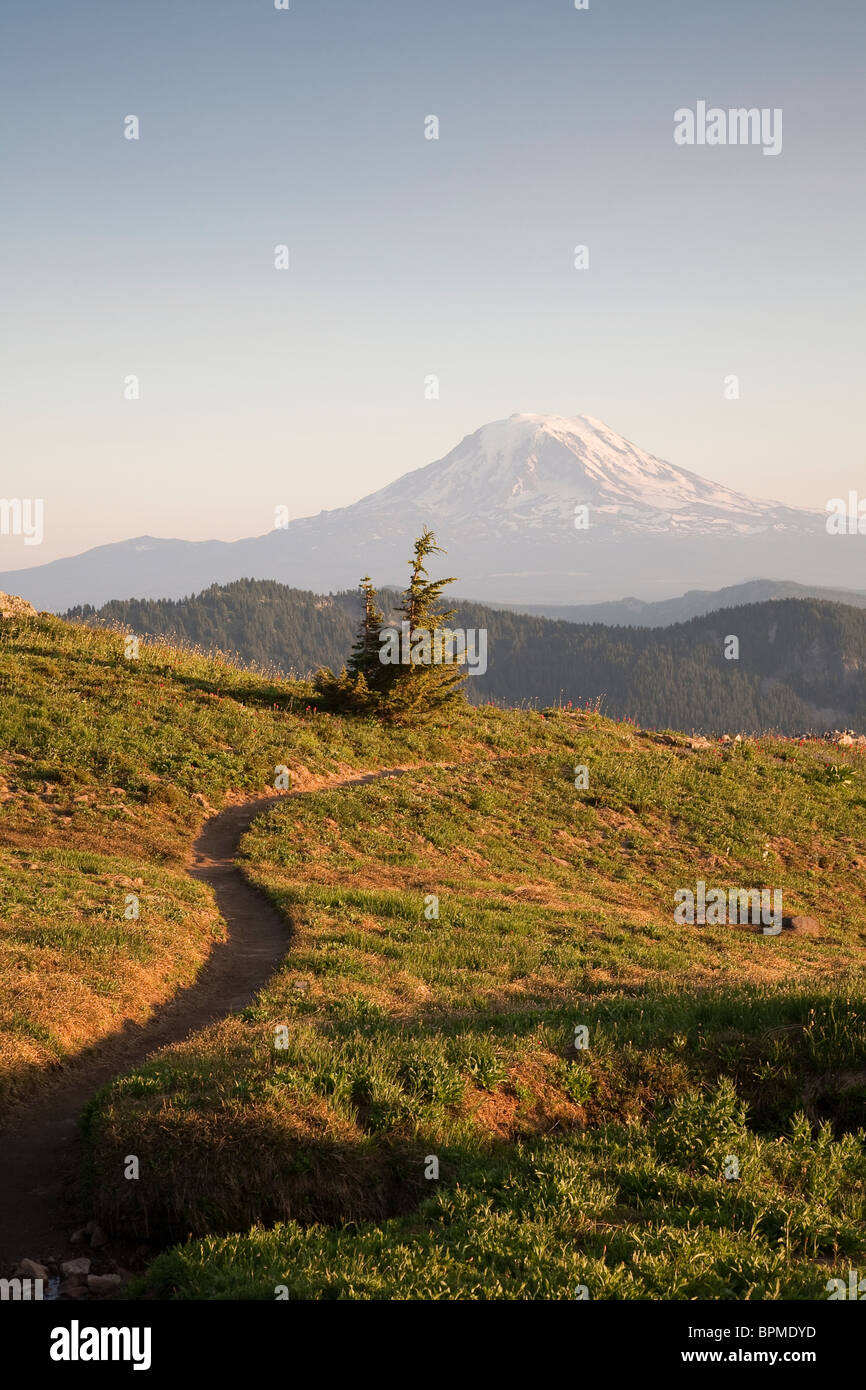 Pacific Crest Trail in the Goat Rocks Wilderness, Gifford Pinchot ...