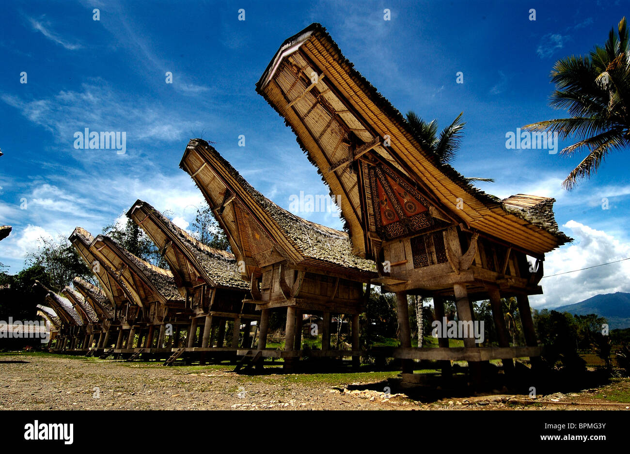 traditional house toraja sulawesi Indonesia Stock Photo - Alamy