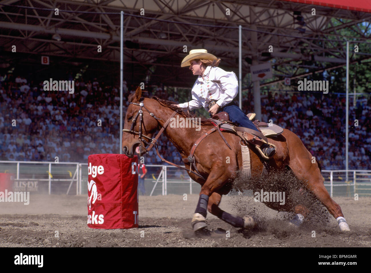 Rodeo Cowgirl riding Horse in Barrel Racing Event, Cloverdale Rodeo ...