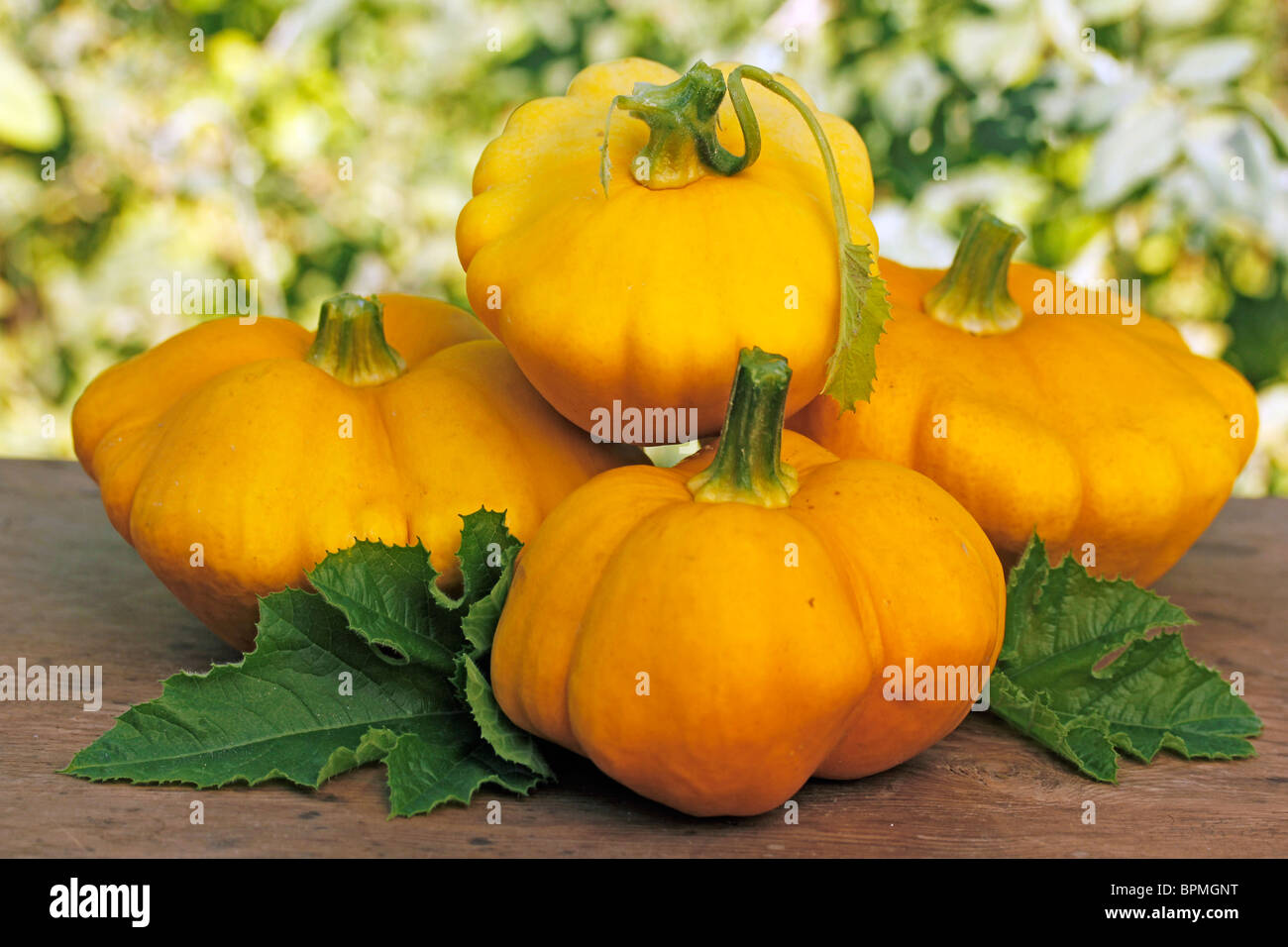 Yellow Pumpkins Stock Photo Alamy yellow-pumpkins-stock-photo-alamy