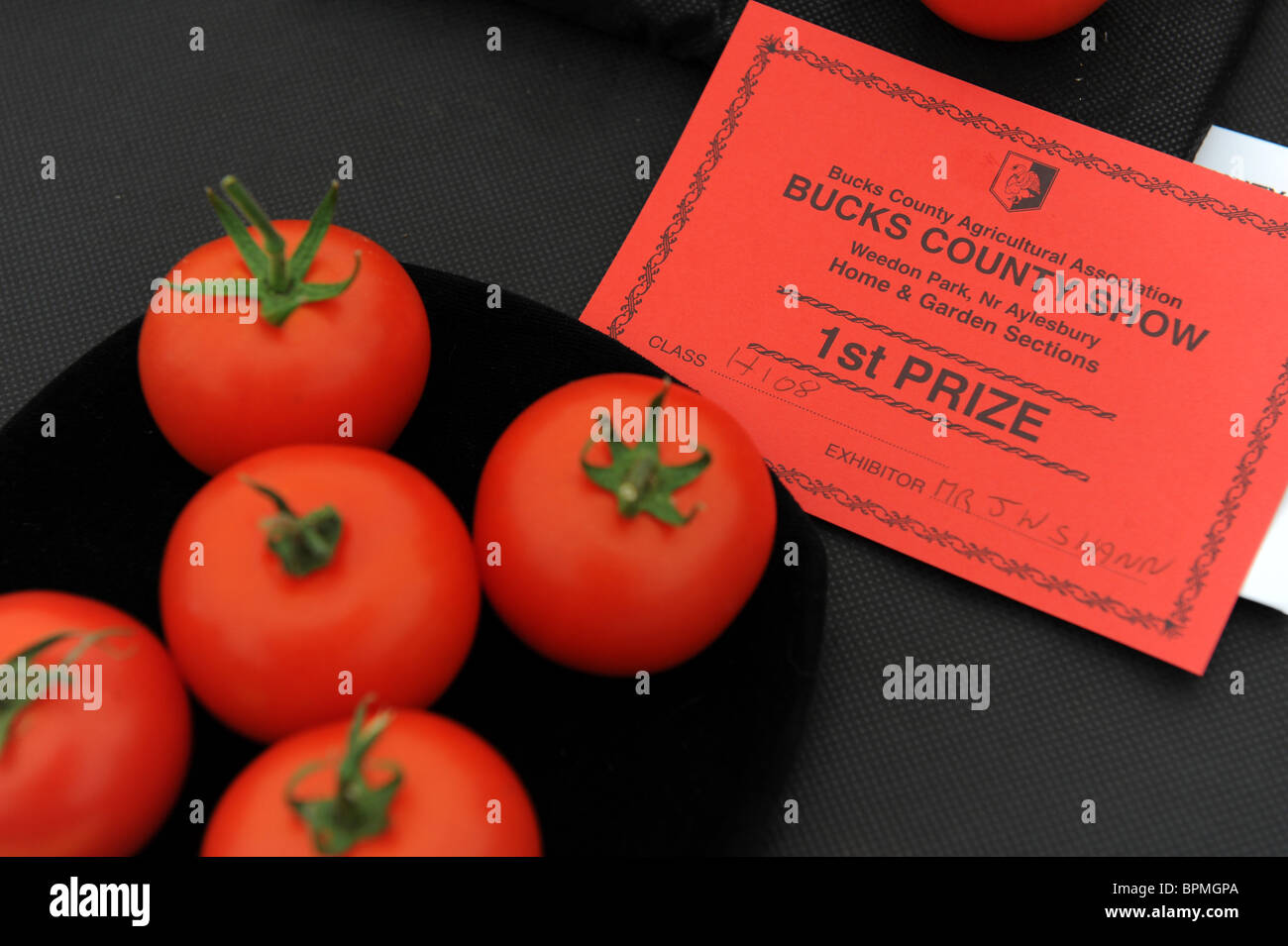 First prize winning tomatoes at the Bucks County Show Stock Photo - Alamy
