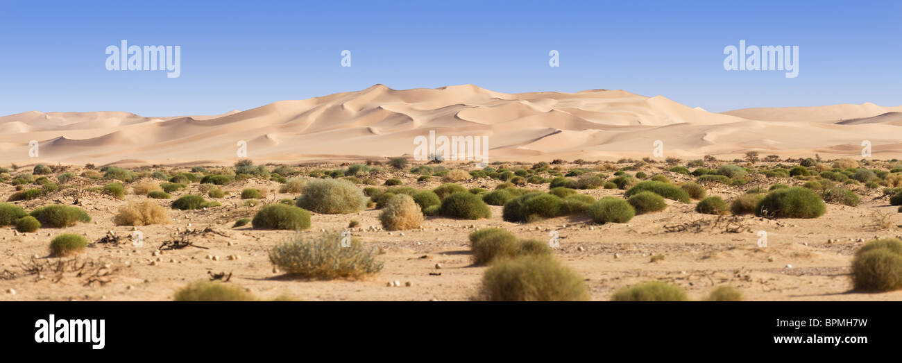 Africa Libyan Desert