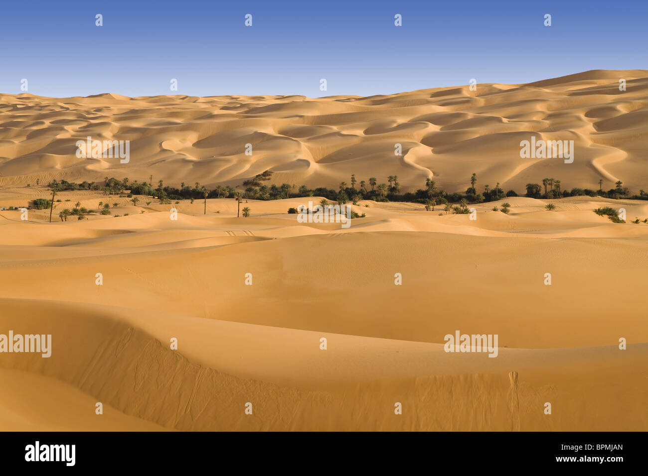 Um el Ma oasis and sanddunes, libyan desert, Libya, Sahara, Africa ...