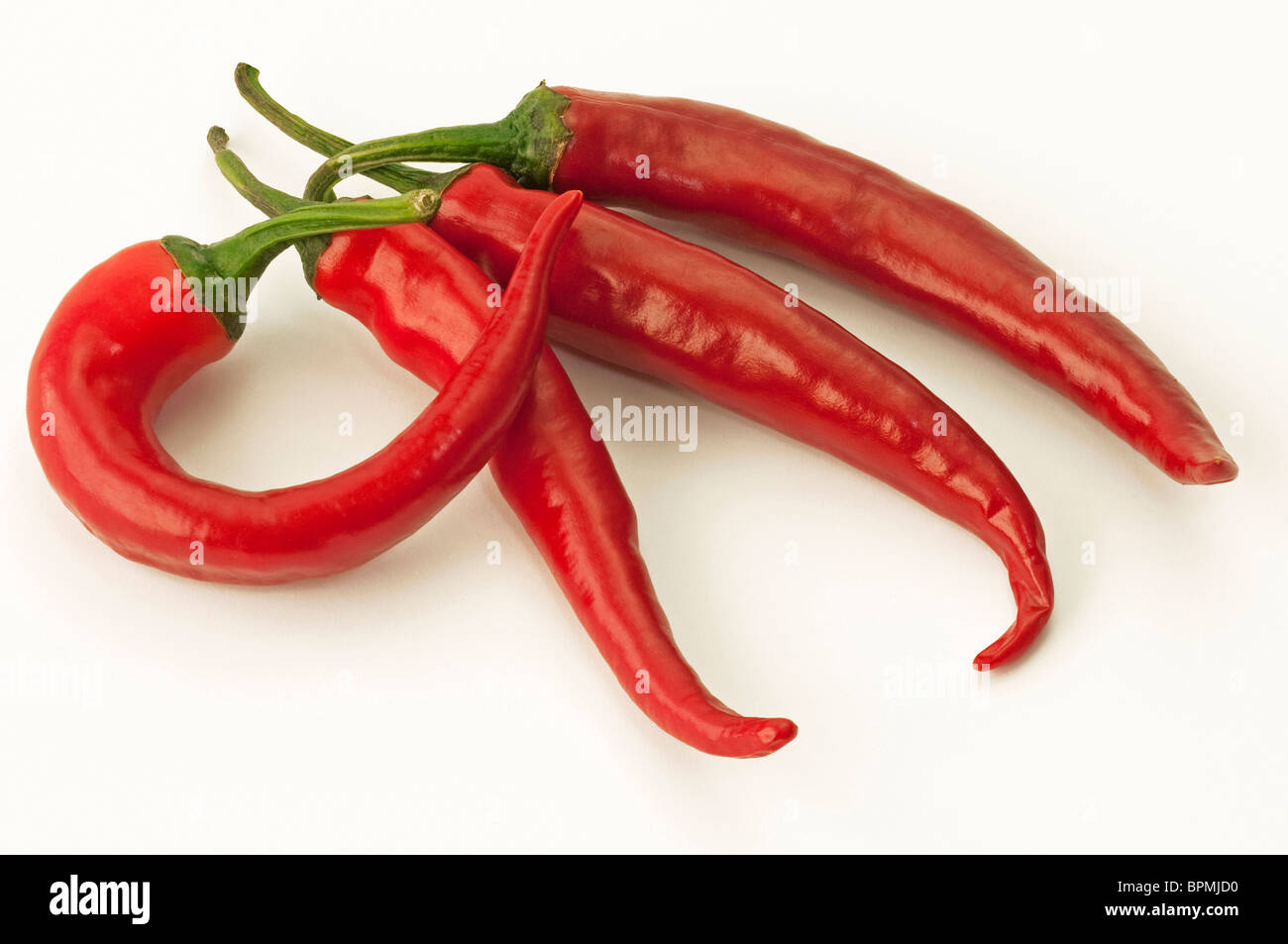 Red Pepper (Capsicum annuum), ripe pods, studio picture against a white ...
