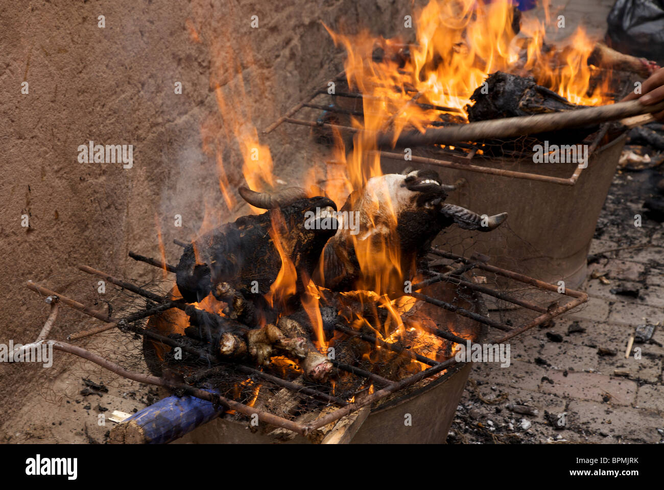 Sheeps heads marrakech hi-res stock photography and images - Alamy