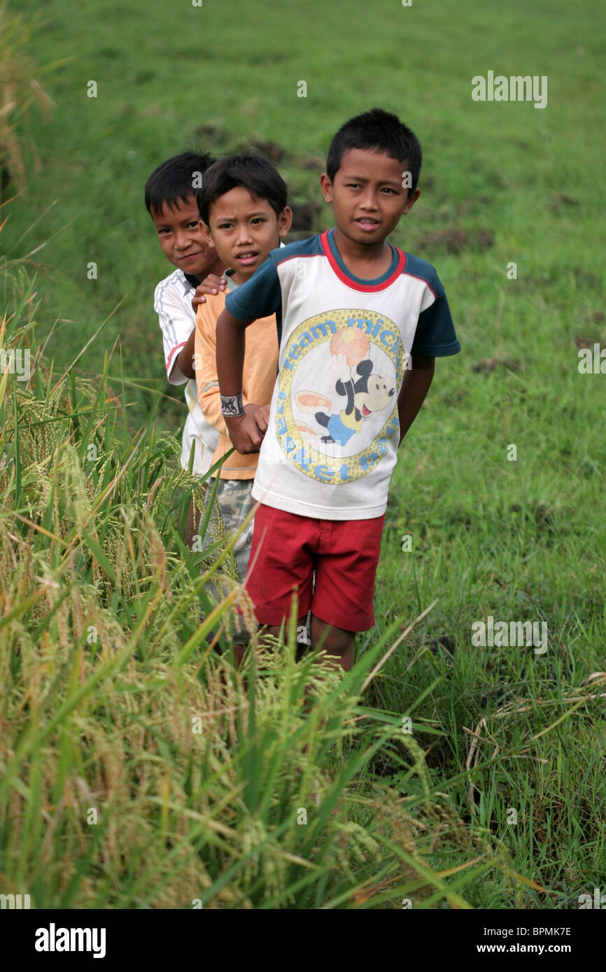 Children playing at the rice field hi-res stock photography and images ...