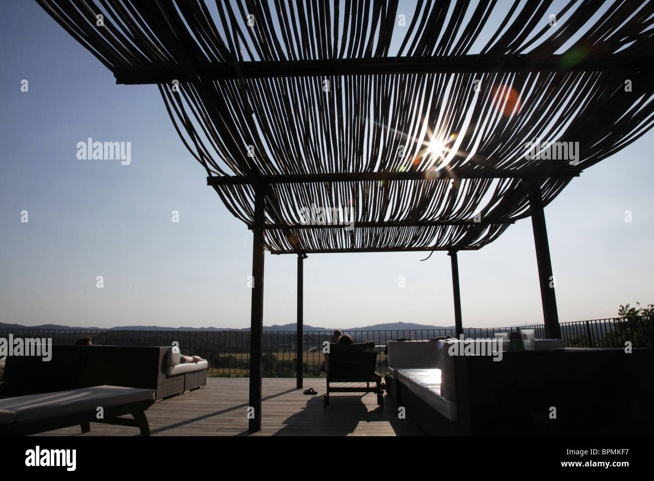Bamboo canopy view hi-res stock photography and images - Alamy