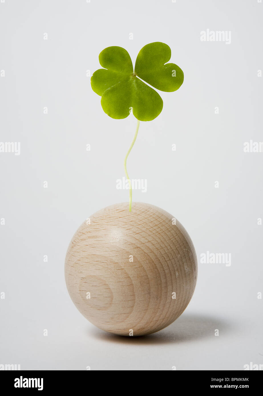 Wooden ball and clover Stock Photo - Alamy