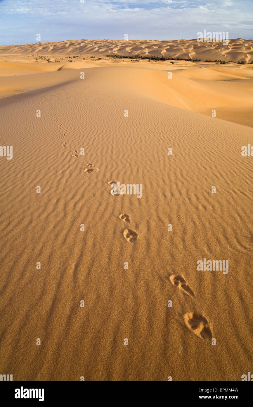 Libyan Desert High Resolution Stock Photography and Images - Alamy