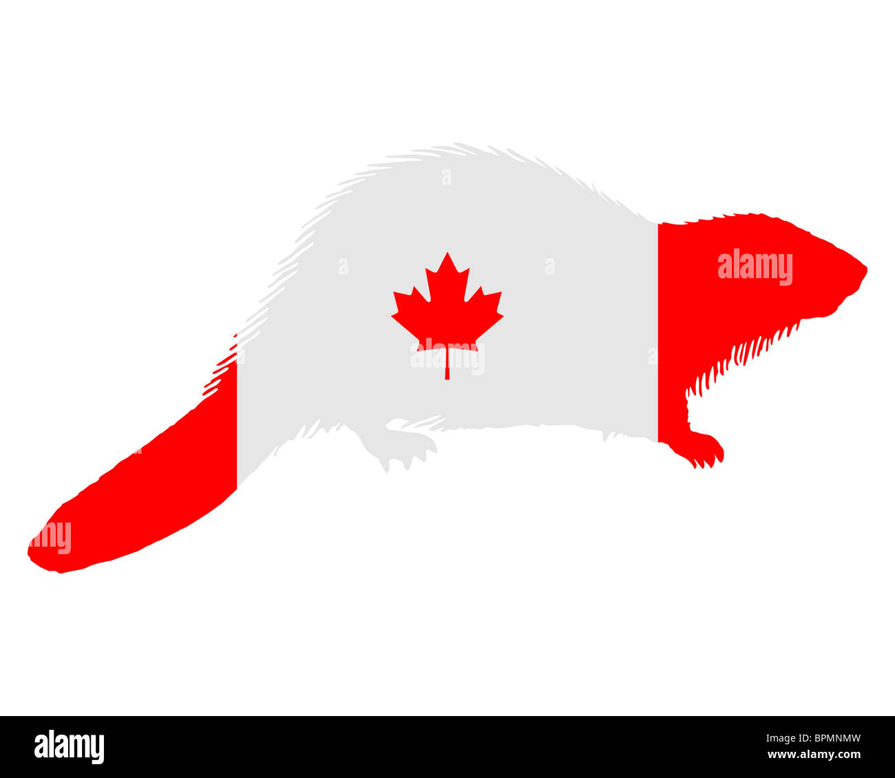Canada symbol beaver Cut Out Stock Images & Pictures - Alamy