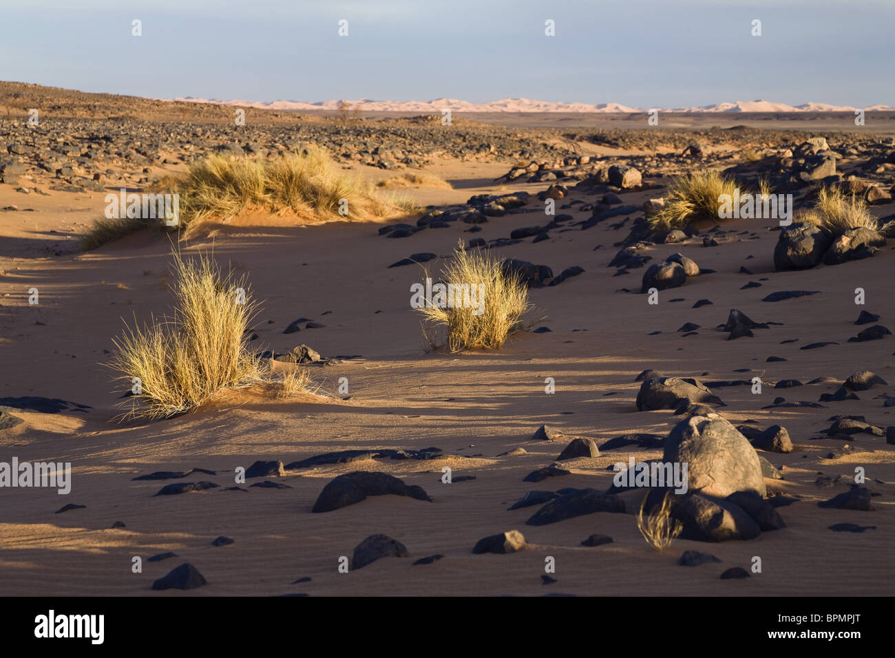 Light and shadow in the libyan desert, Libya, Sahara, North Africa ...