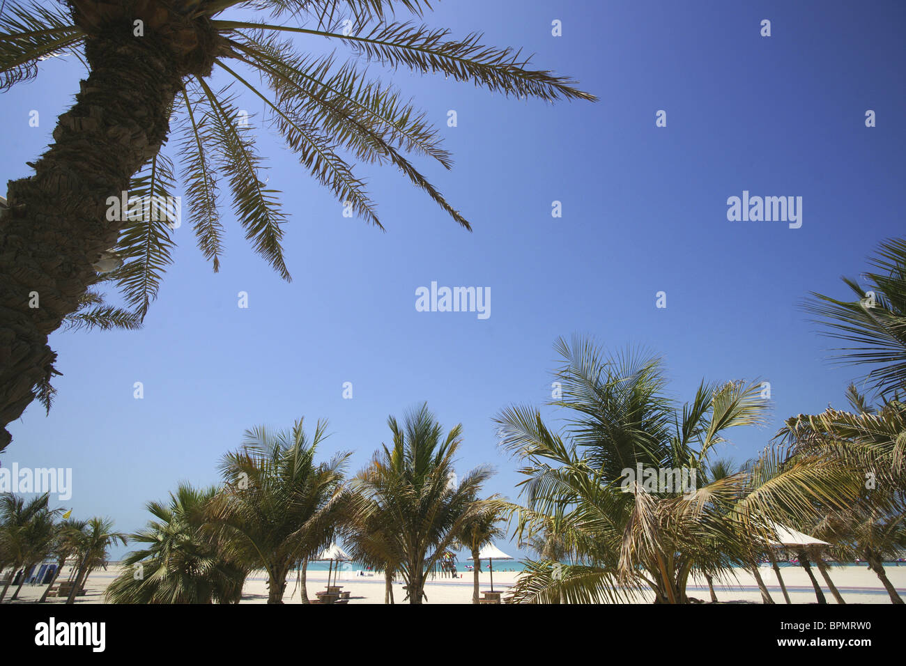 Jumeirah beach and palm trees under blue sky, Dubai, UAE, United Arab ...