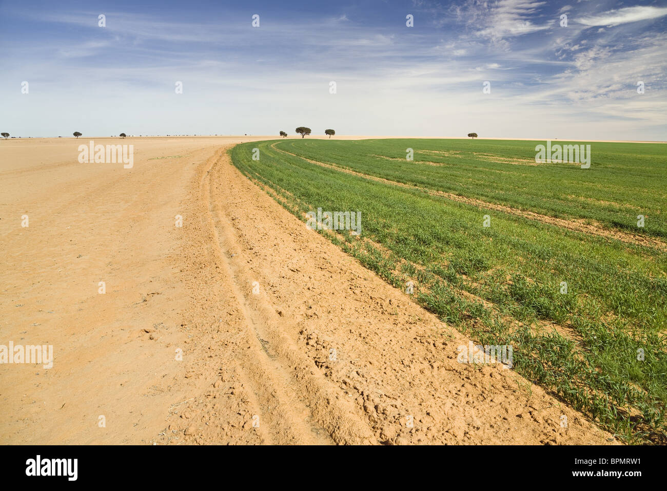 Irrigation project in the libyan desert, Libya, Sahara, North Africa ...