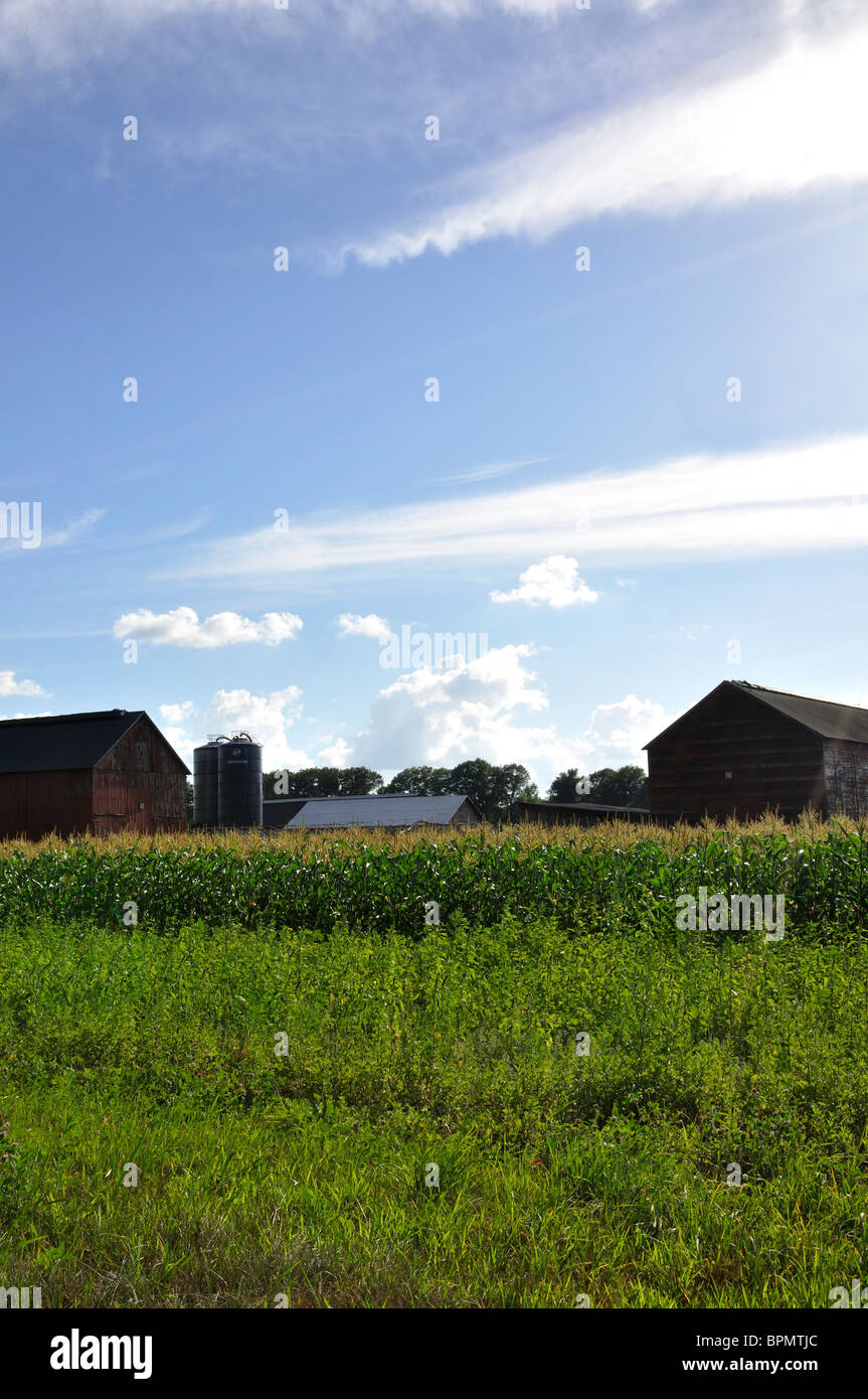 Connecticut barns hi-res stock photography and images - Alamy
