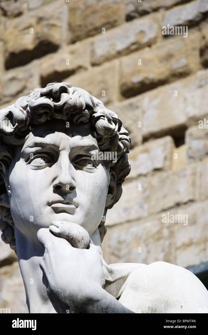 Head of the David Statue (by Michelangelo) on Piazza della Signoria ...