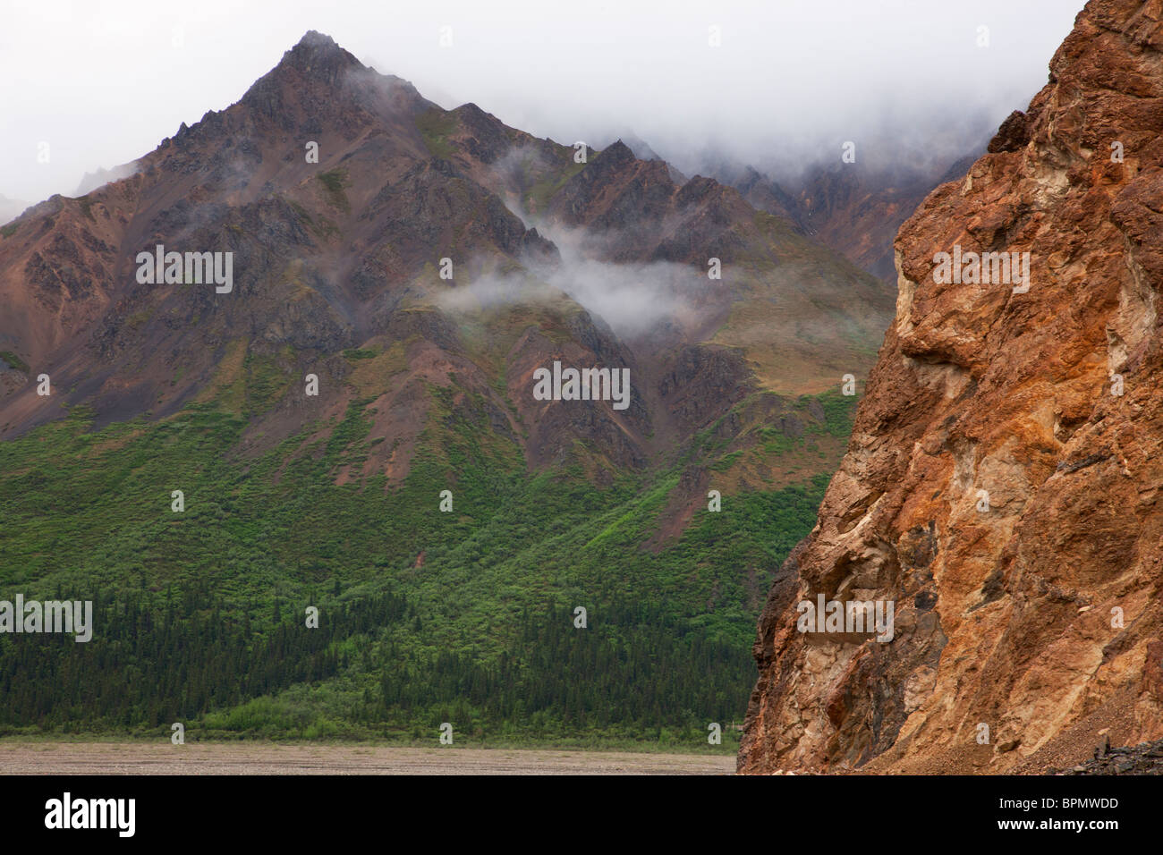 Toklat area, Denali National Park, Alaska Stock Photo - Alamy